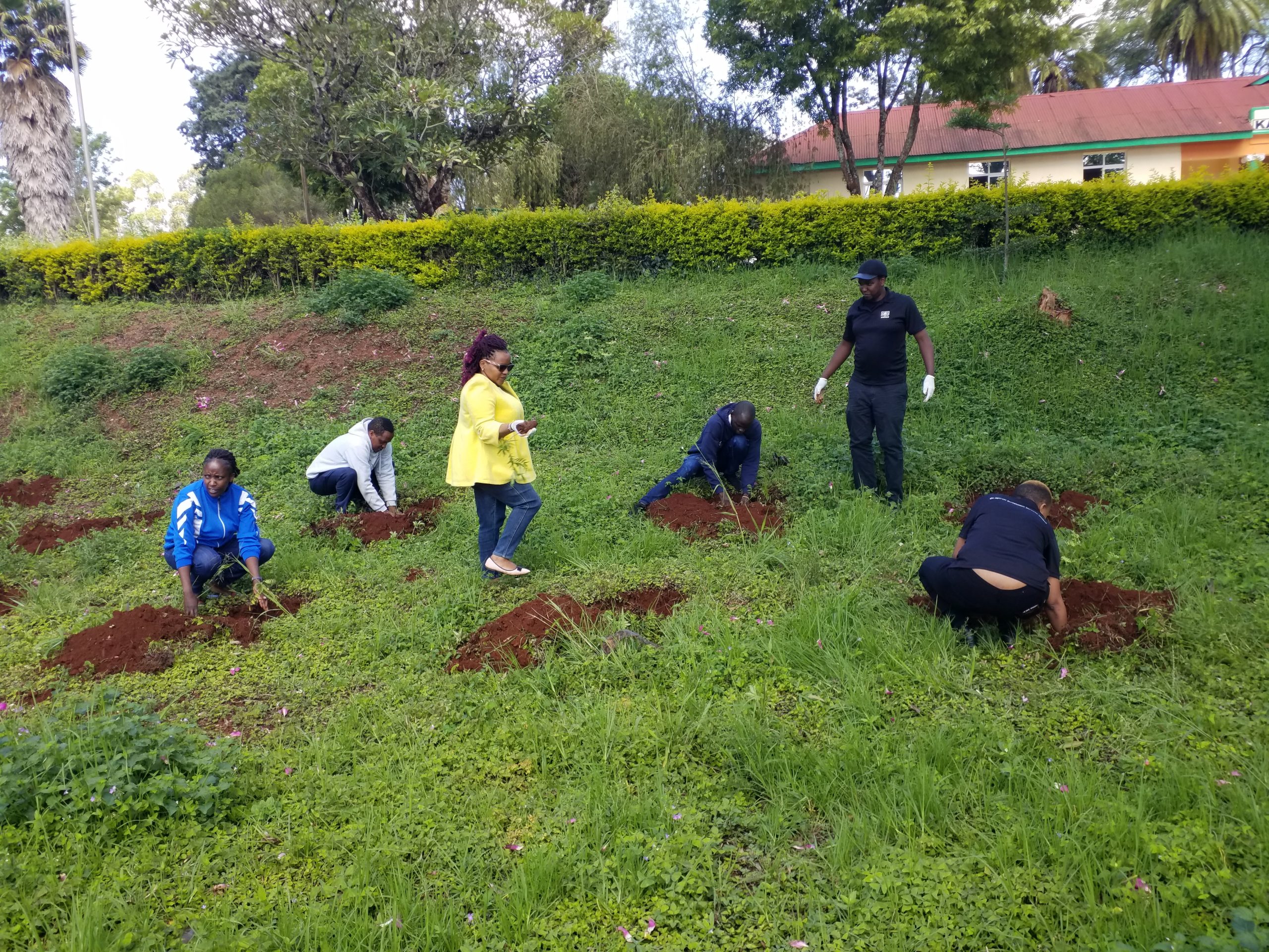 Kagumo Teachers Training College - Secondary Schools teachers Diploma